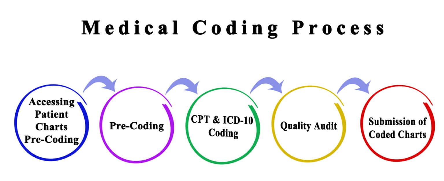 Cpt Codes Definitions Types And Applications